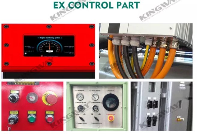 Atex Zone 2 Explosion Proof Generator Set 20KVA with DNV Lifting Frame